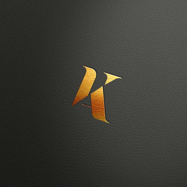 Kareem Amer - Director, Videographer & Filmmaker