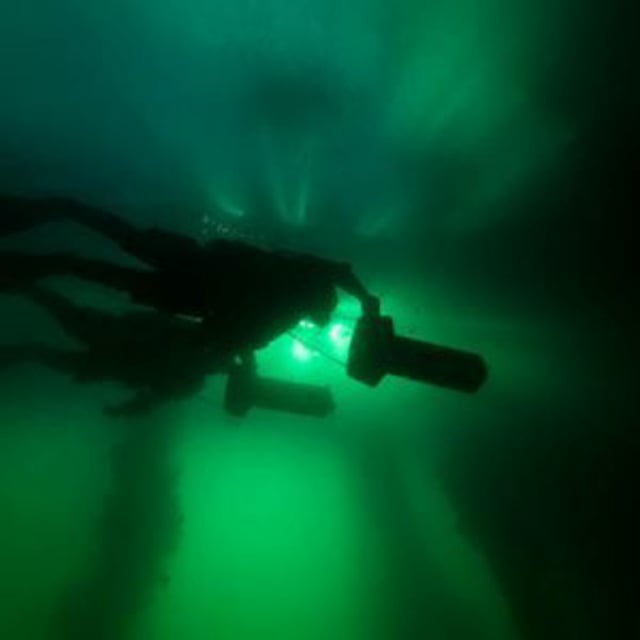Frog Kick Diving | FKD