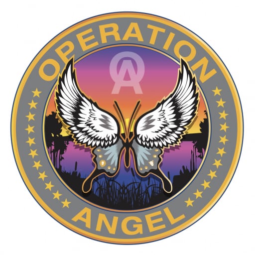 Operation Angel Summit