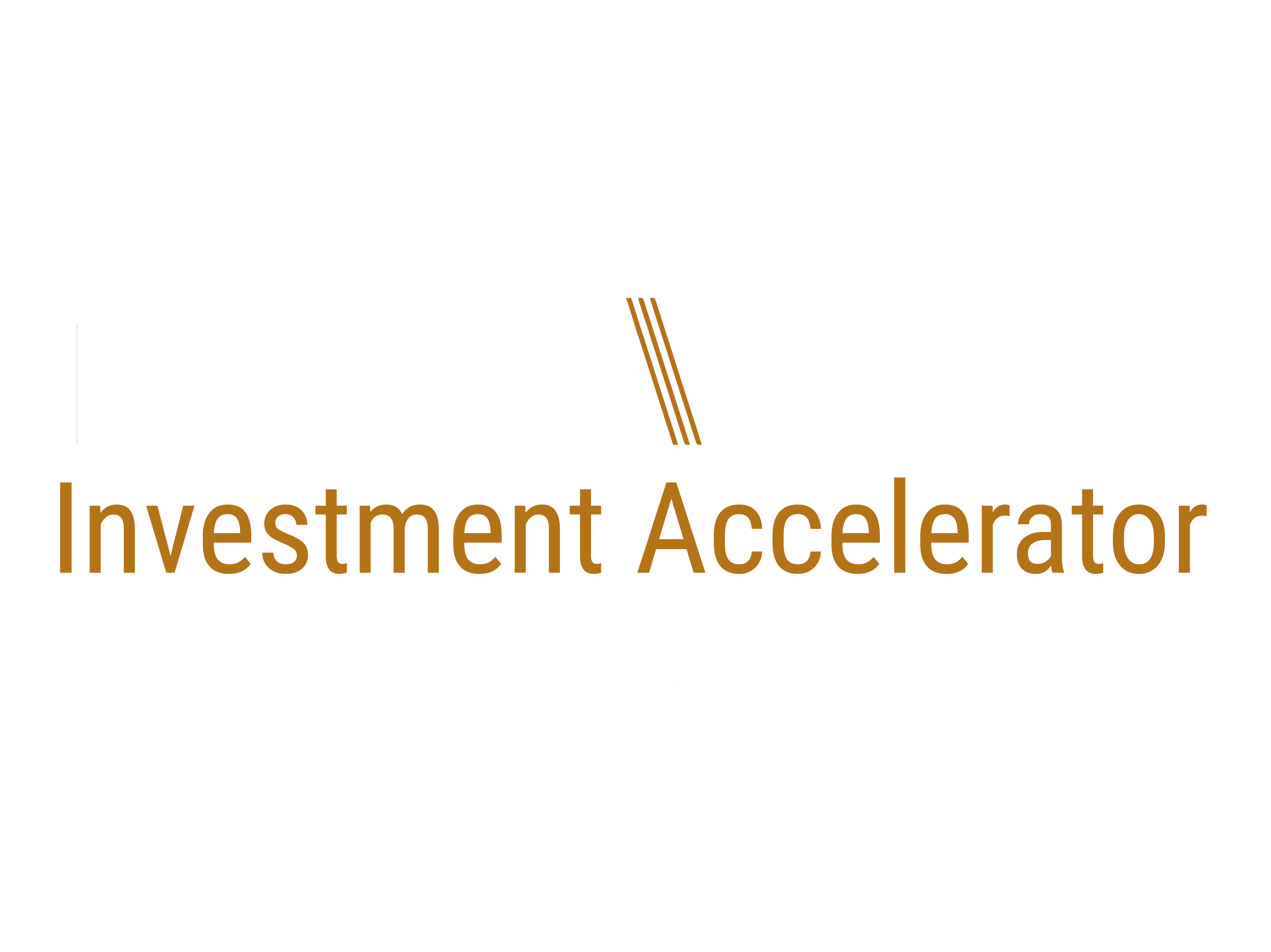 Bronze Valley Investment Accelerator Showcase