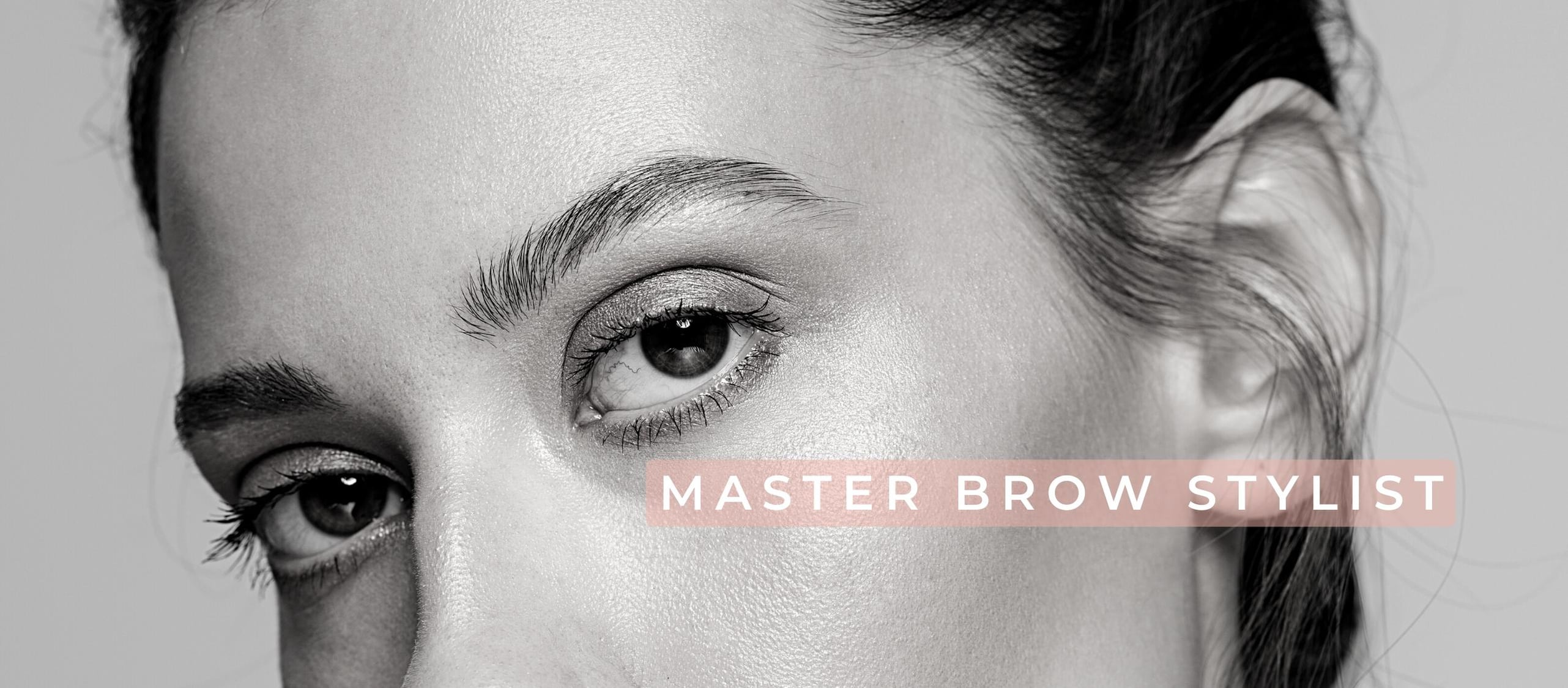 Master Brow Stylist