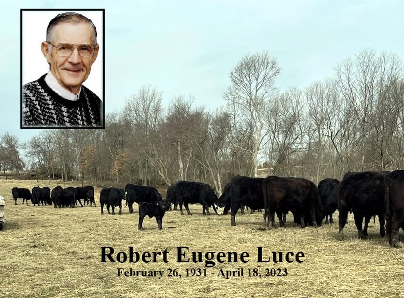 Robert Luce Service