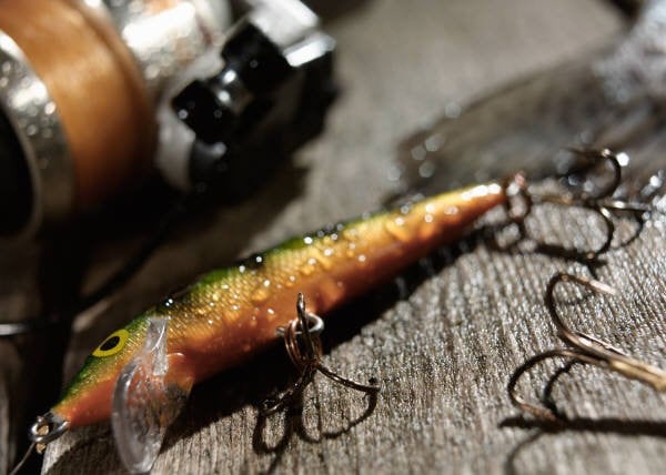 Jackie Clifton Briscoe