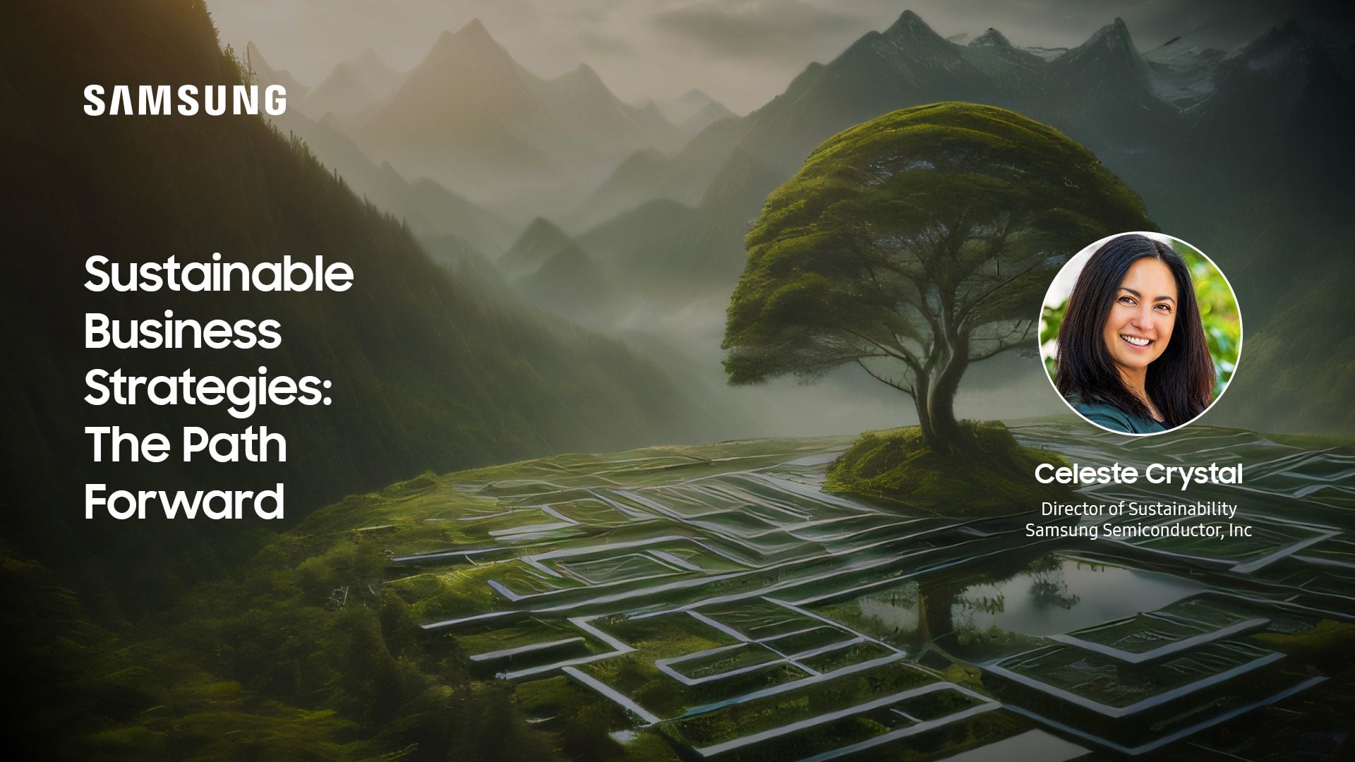 Sustainable Business Strategies: The Path Forward
