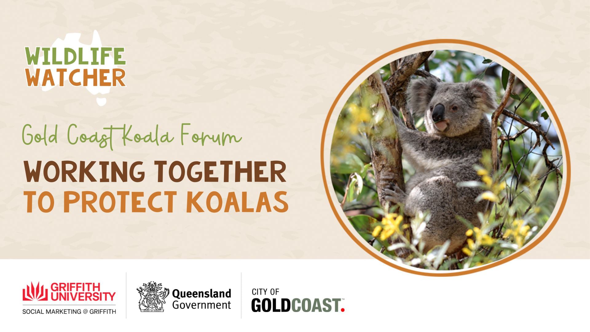 Gold Coast Koala Community Forum