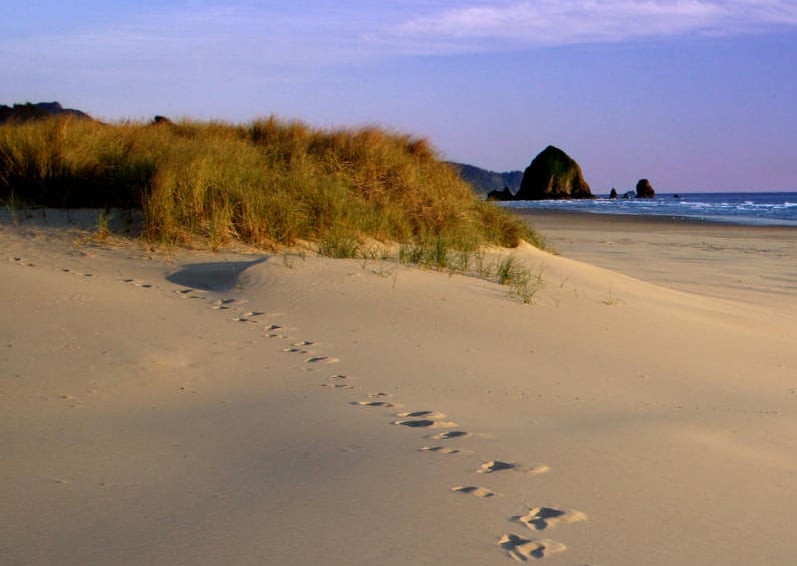 Patricia Anne (Trish) Fagan