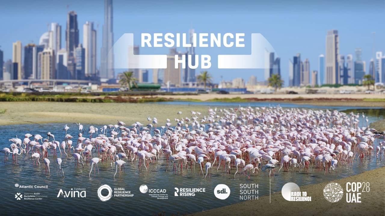 COP28 - Live Streaming