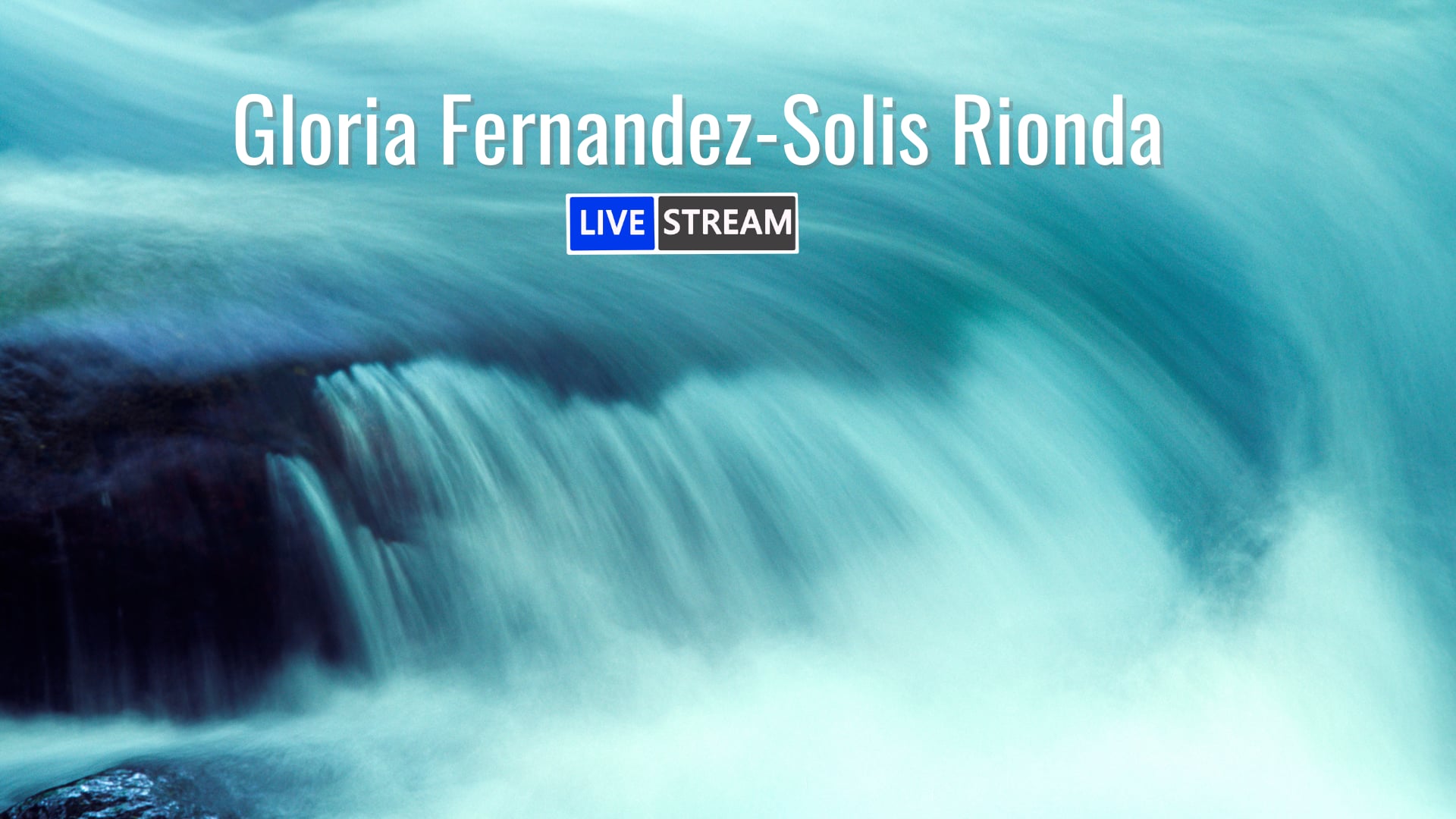 Gloria Fernandez-Solis Rionda Service