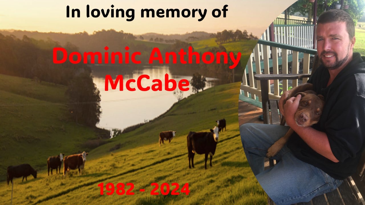 Dominic Anthony McCabe