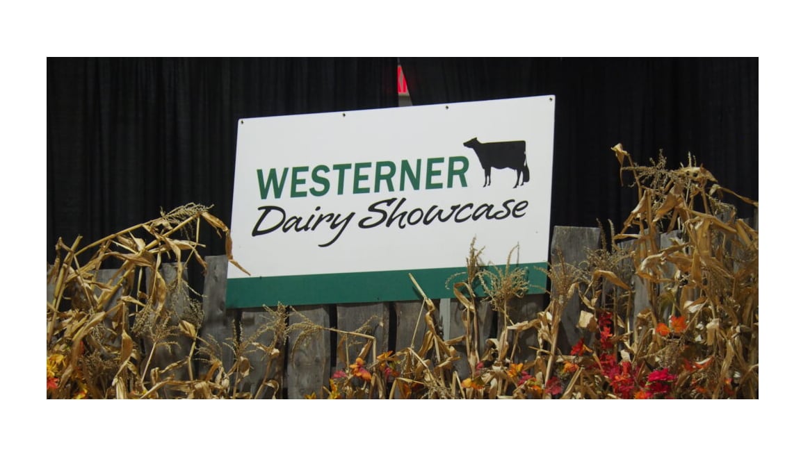 [2024] Saturday - Cow Show - Dairy Showcase