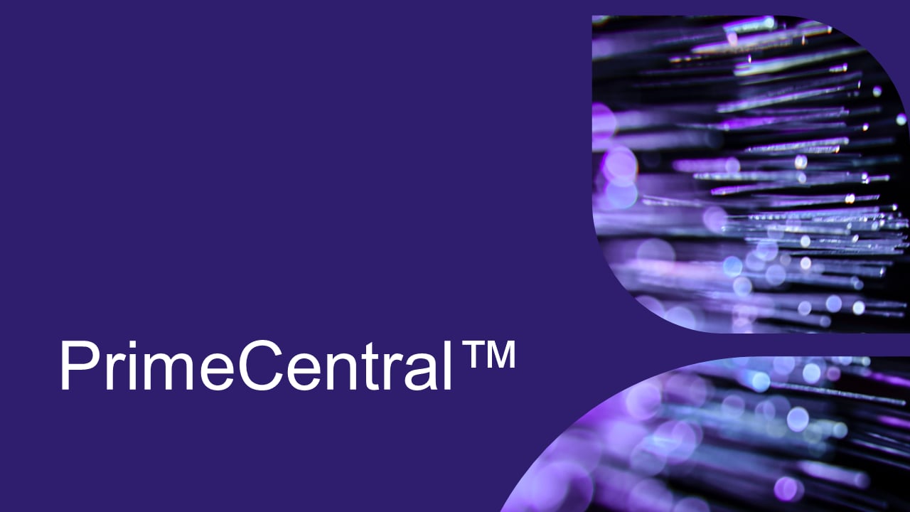 The ins and outs of PrimeCentral