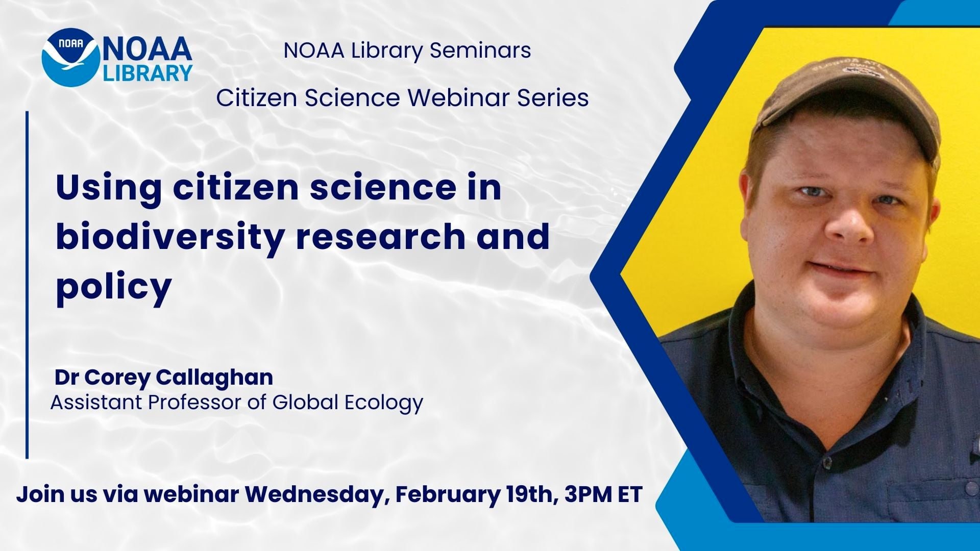 Using citizen science in biodiversity research and policy