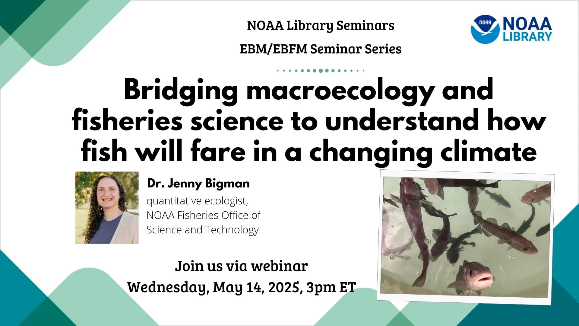 Bridging macroecology and fisheries science to understand how fish will fare in a changing climate