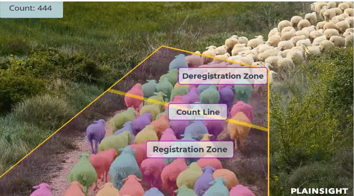 Vision AI for livestock monitoring