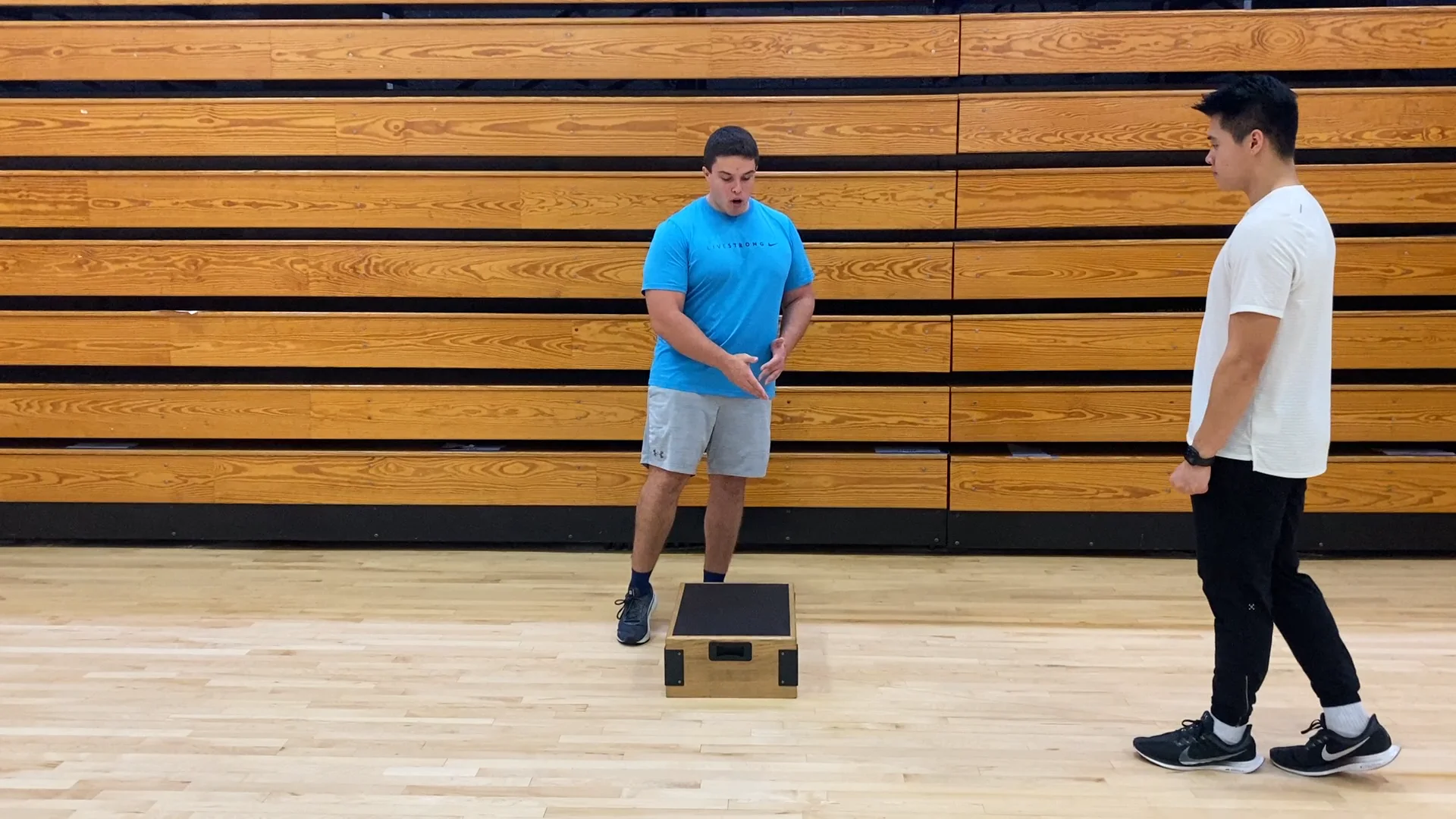 Minimal Ground Contact Lateral Box Hops
