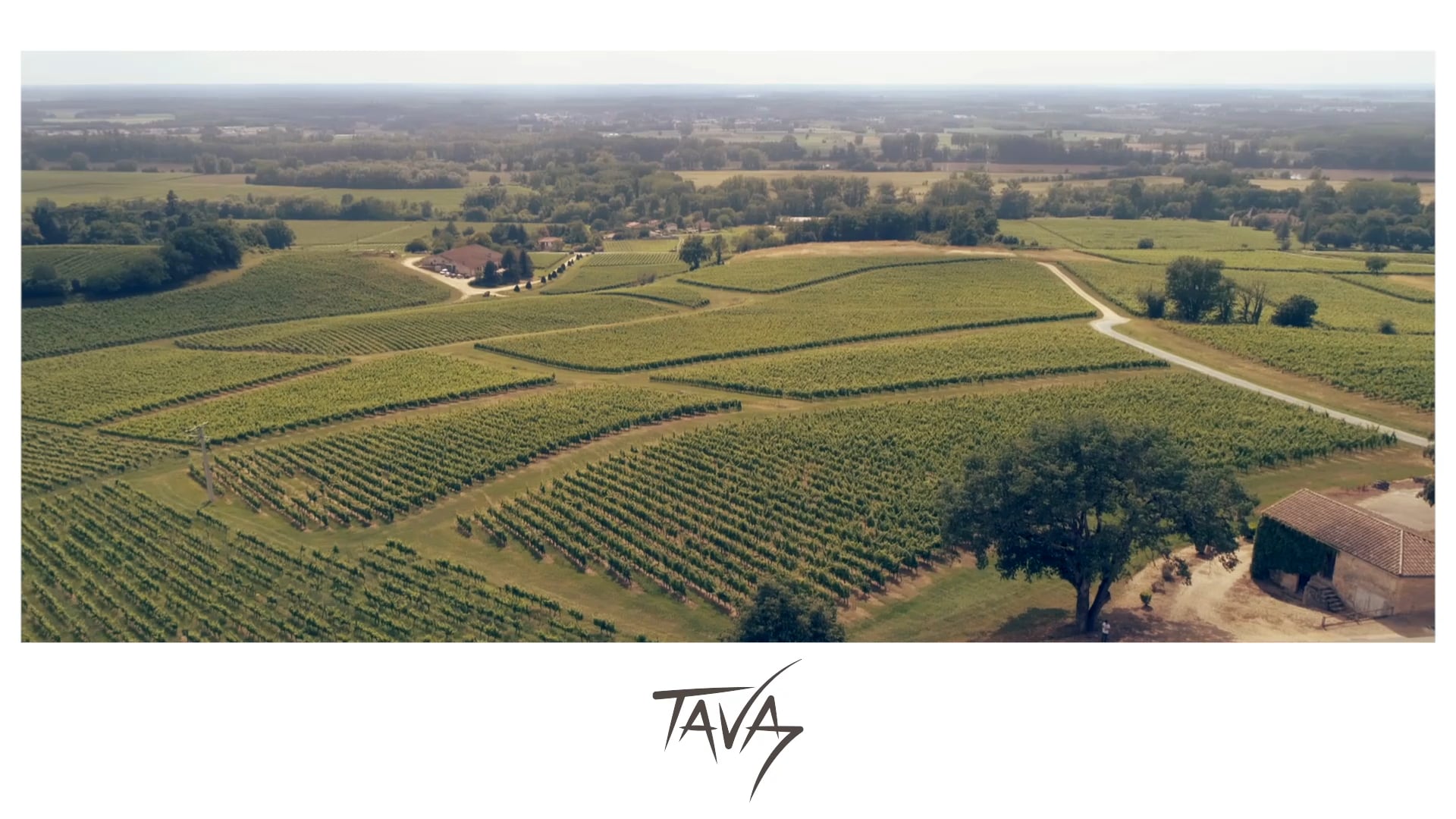 TAVA ANFORE on Vimeo