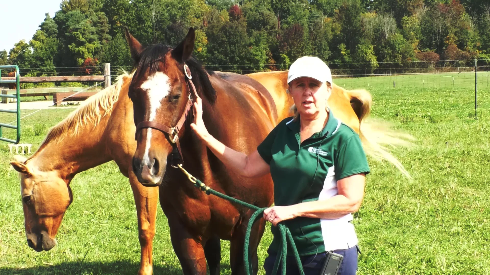 Video 01 Kat and Patsy on Vimeo