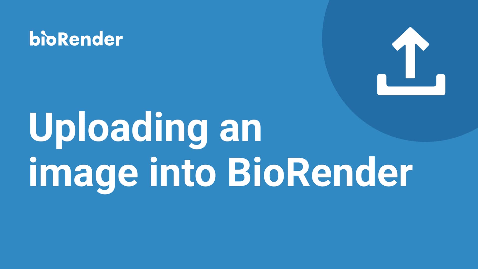 Upload an image into BioRender on Vimeo