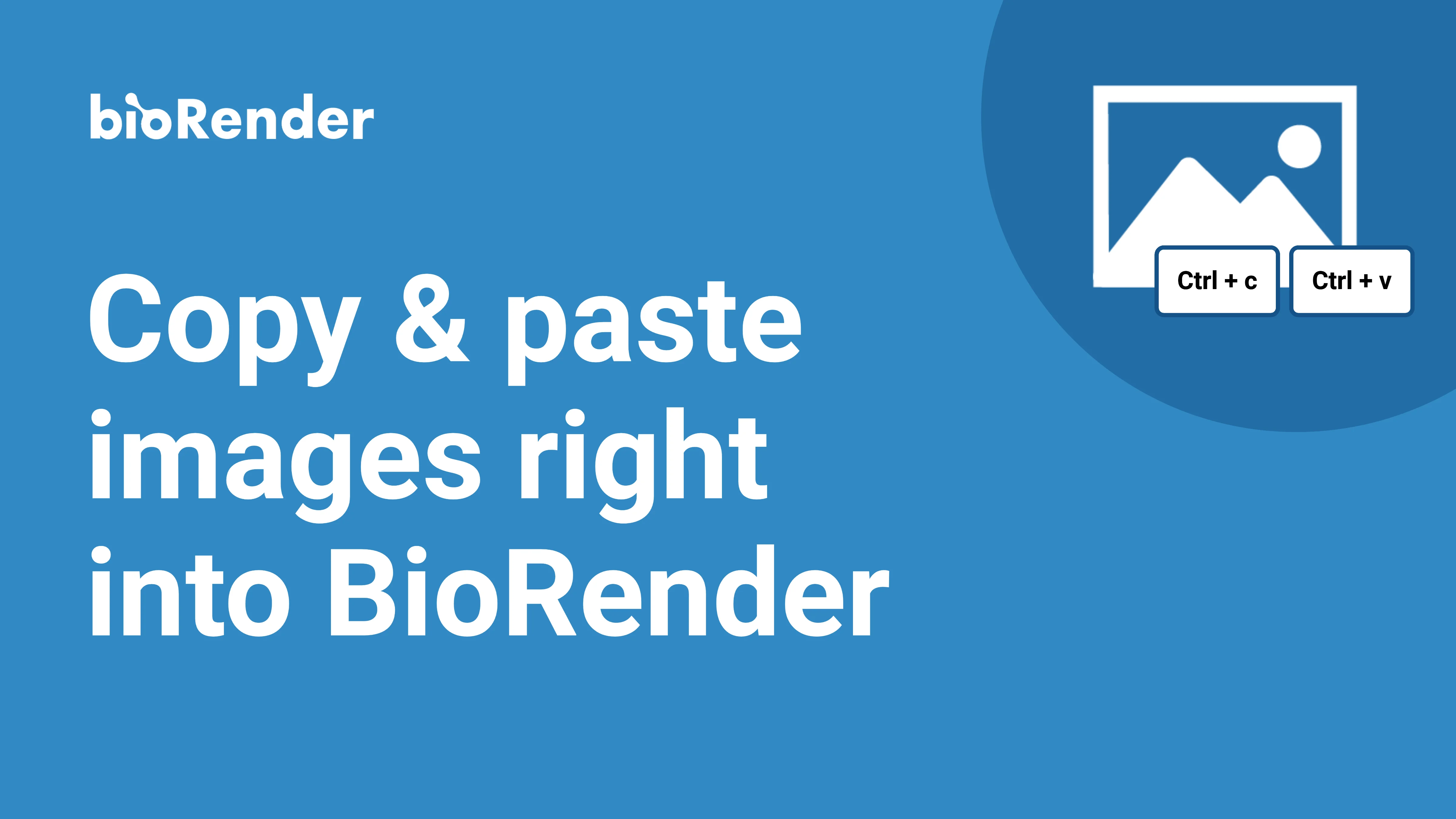 Copy & paste images right into BioRender on Vimeo