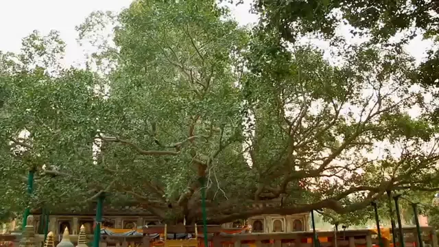 Faith Revisited on Vimeo