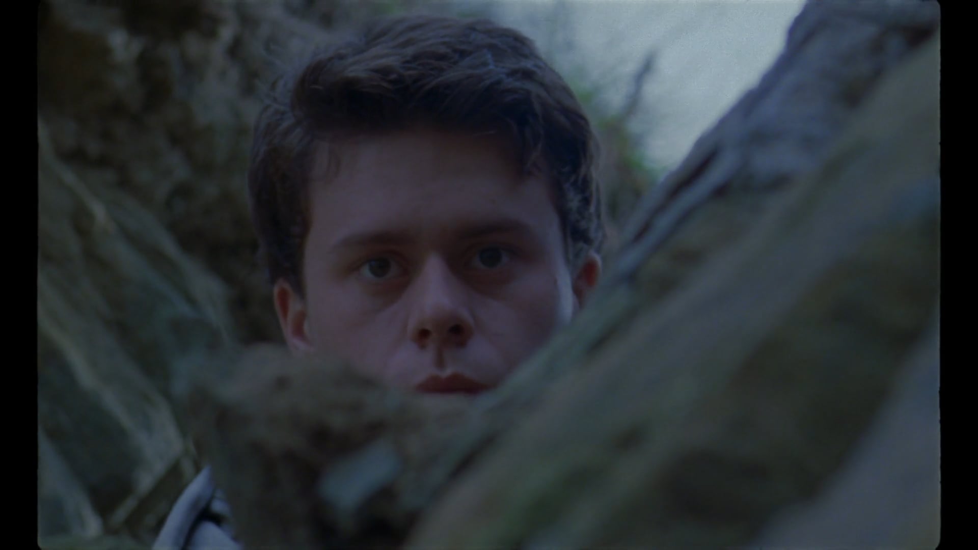 Watch L'Ile et le Continent / Island and Mainland - Laurie Bost ...