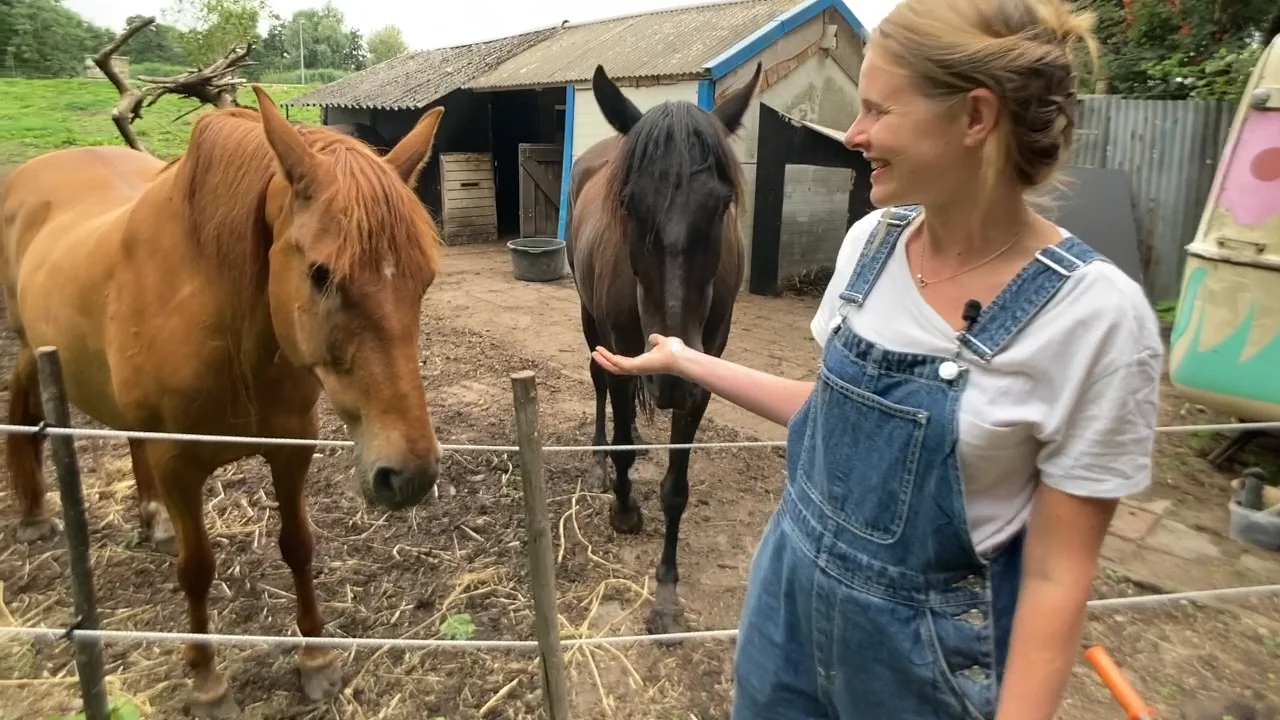 Anderhalve meter met: Daphne, afl 11 on Vimeo