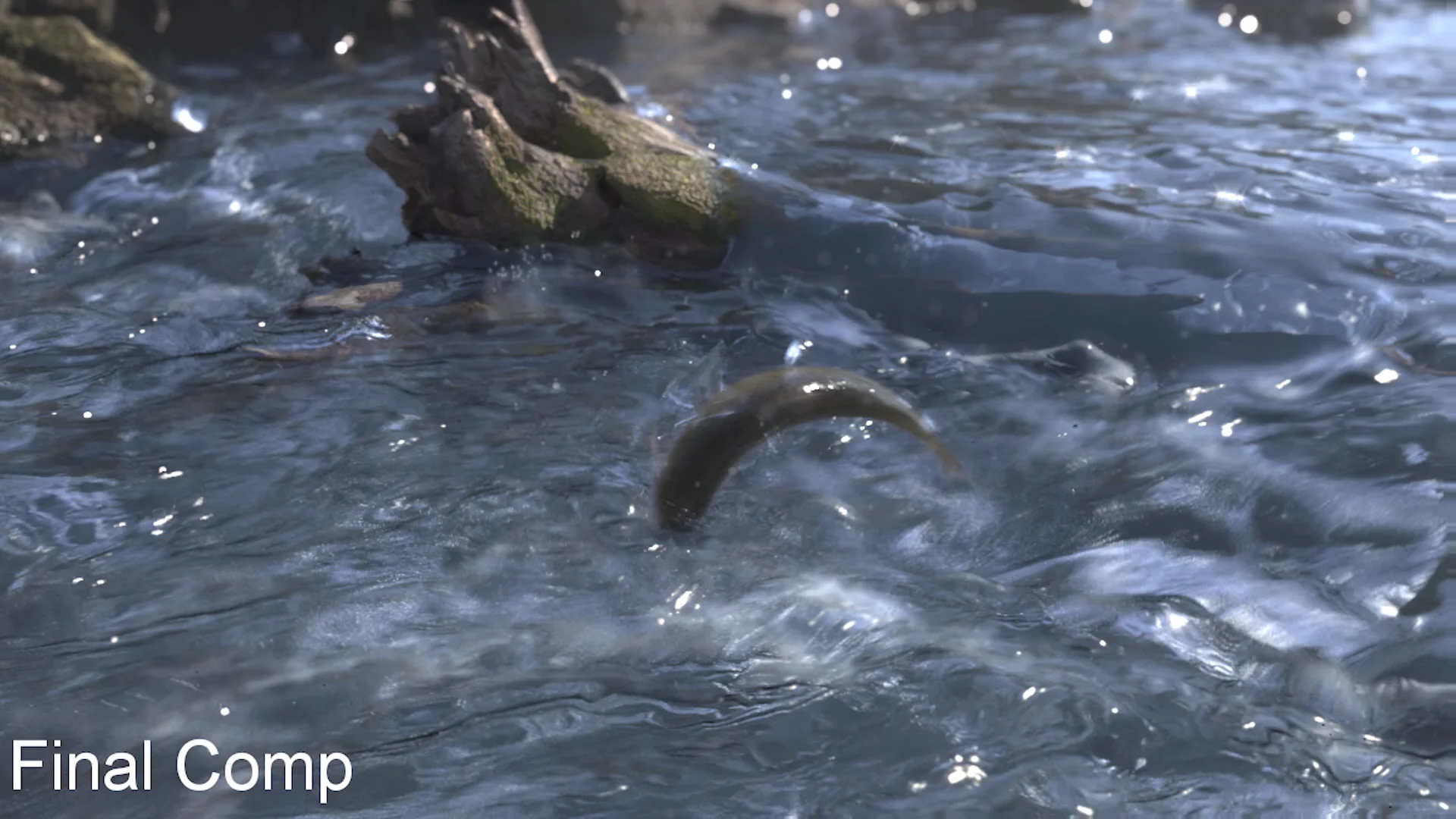 Trout Breach breakdown on Vimeo