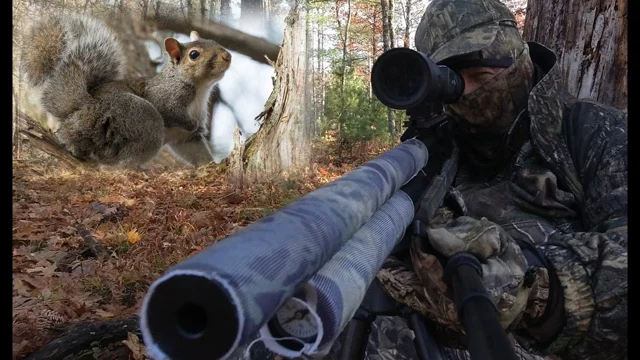 Squirrels With Snipers