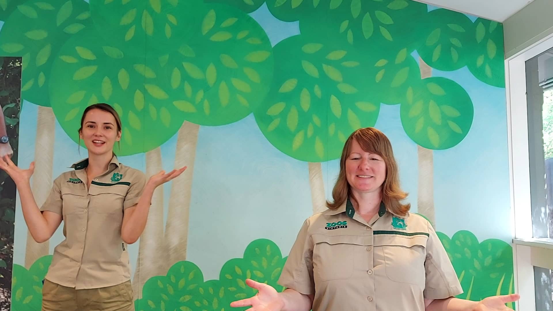 Golden-rayed Blue Butterfly on Vimeo