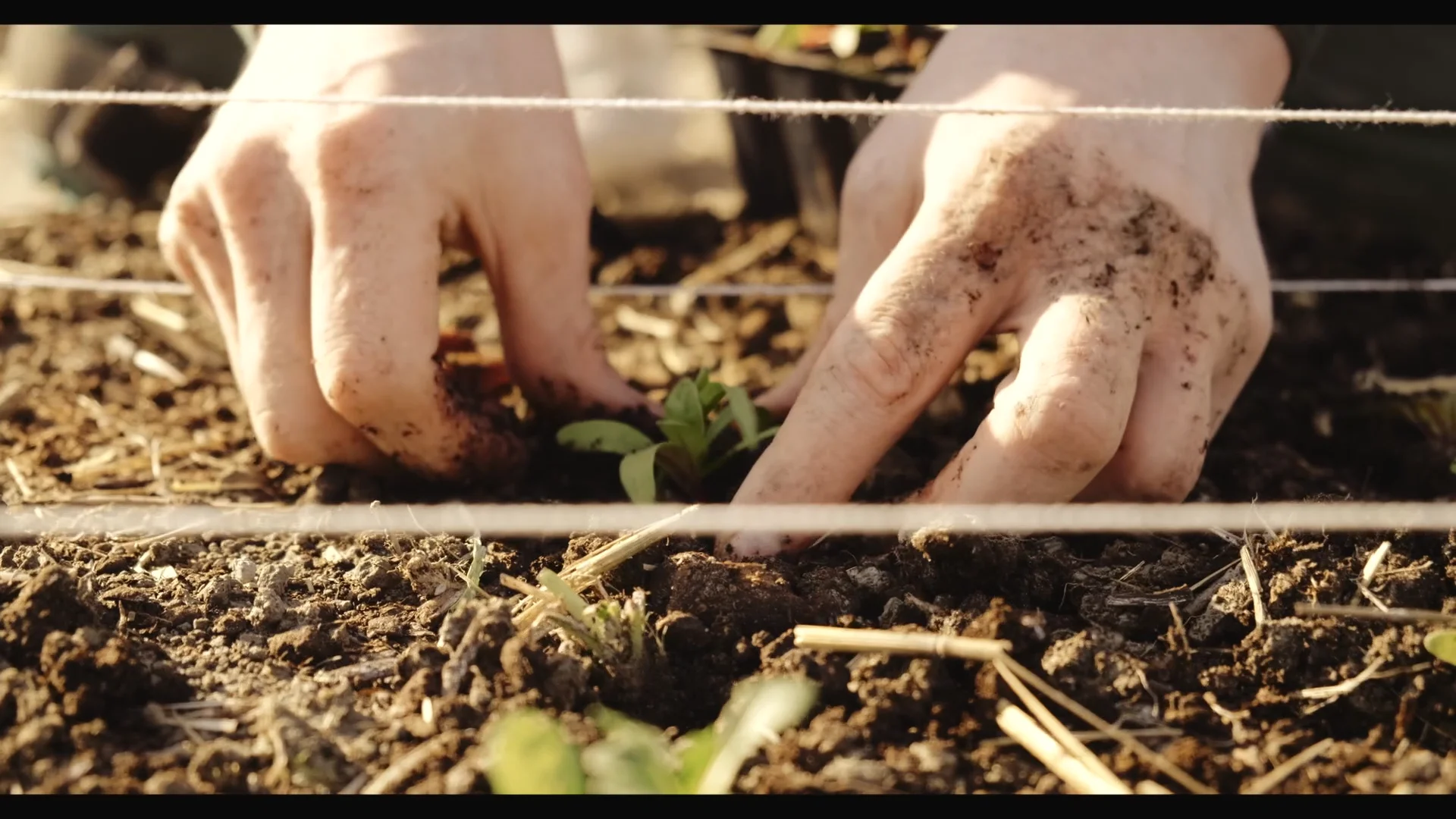 No.9 Gardens on Vimeo