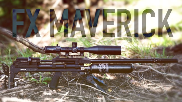 Introducing the NEW FX MAVERICK! --- Impact for Less! - Airgun101