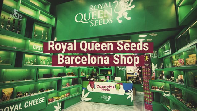 Royal Queen Seeds Brand on Vimeo