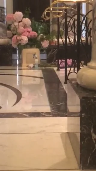 video exotic new1 on Vimeo