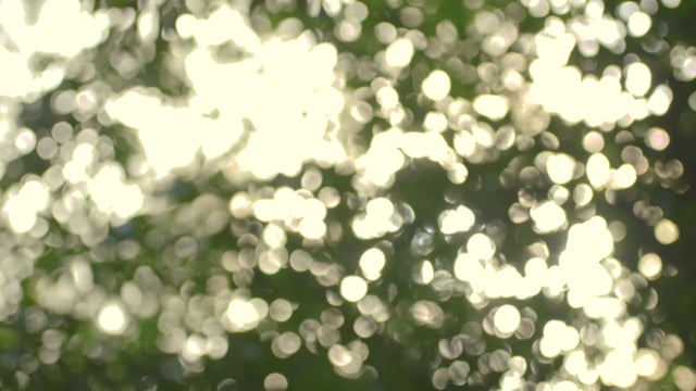 Shiny, Light, Bright. Free Stock Video - Pixabay