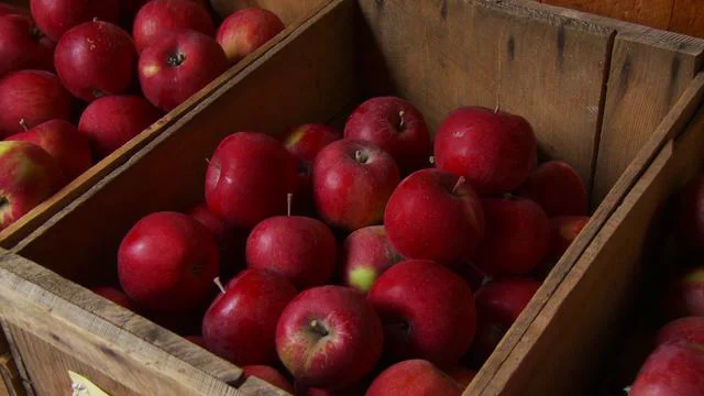 Lost Nation Orchard – Groveton, NH on Vimeo