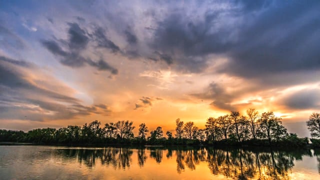 Pomd Videos: Download 1+ Free 4K & HD Stock Footage Clips - Pixabay