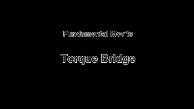 fundamental_movts_1_torque_bridge on Vimeo