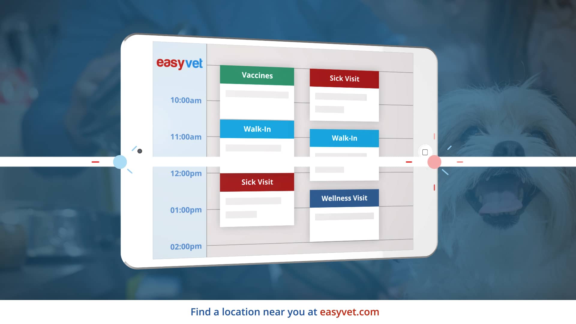 How can easyvet veterinarians be so affordable? on Vimeo