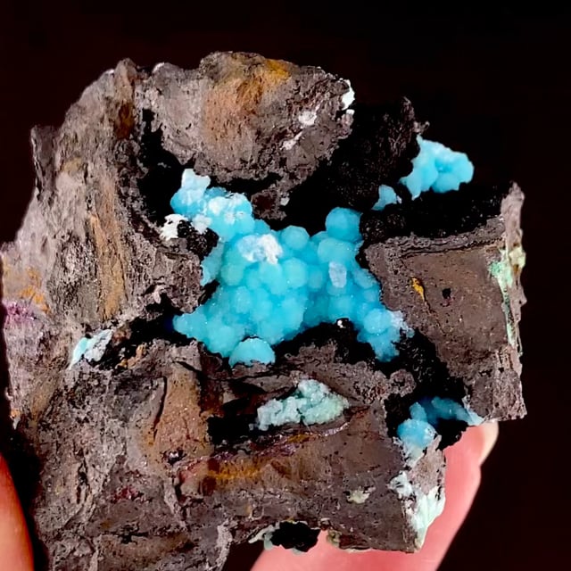 Chalcoalumite (superb color) | Bisbee, Warren District, Mule Mts ...