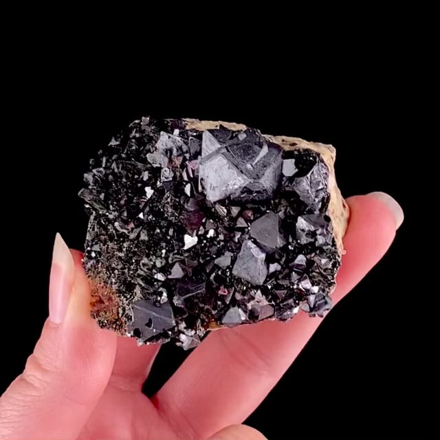 Hematite (var: Martite) with Augite (ex Frank Keutsch Collection ...