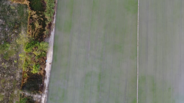 Corp Field, High, Field. Free Stock Video - Pixabay