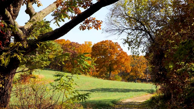 Autumn Landscape Countryside - Free video on Pixabay