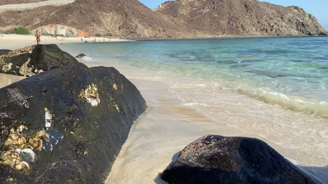 Beach, Island, Sea. Free Stock Video - Pixabay