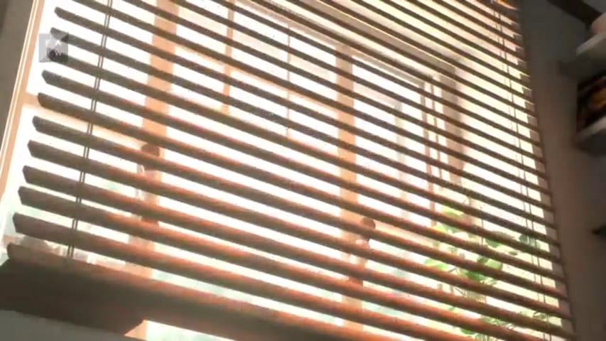 The Present CGI Awarded short film (2014)[1] on Vimeo