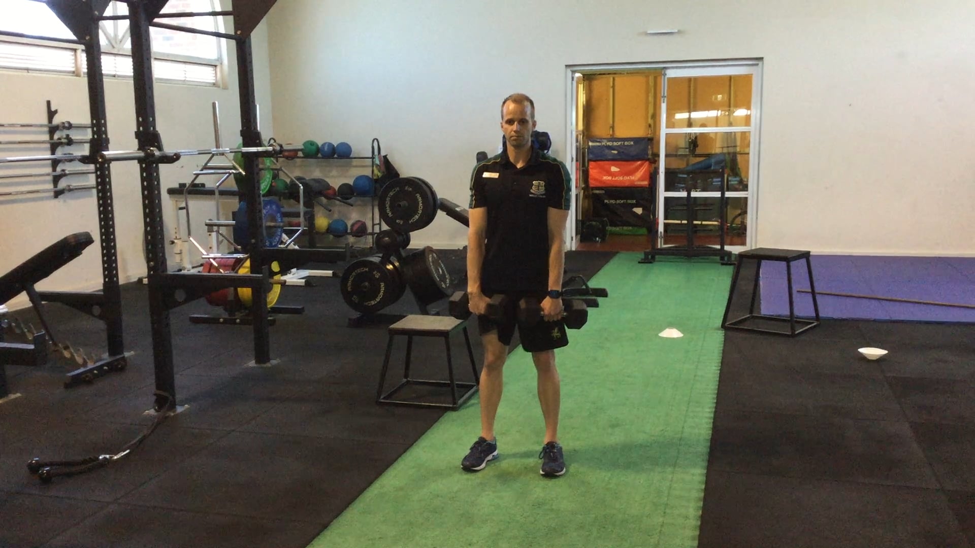 Alternating Upright Dumbbell Rows on Vimeo