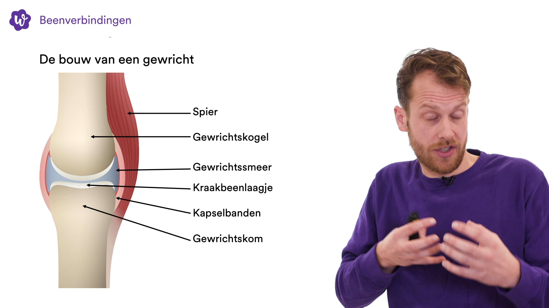 Beenverbindingen oefenen | StudyGo