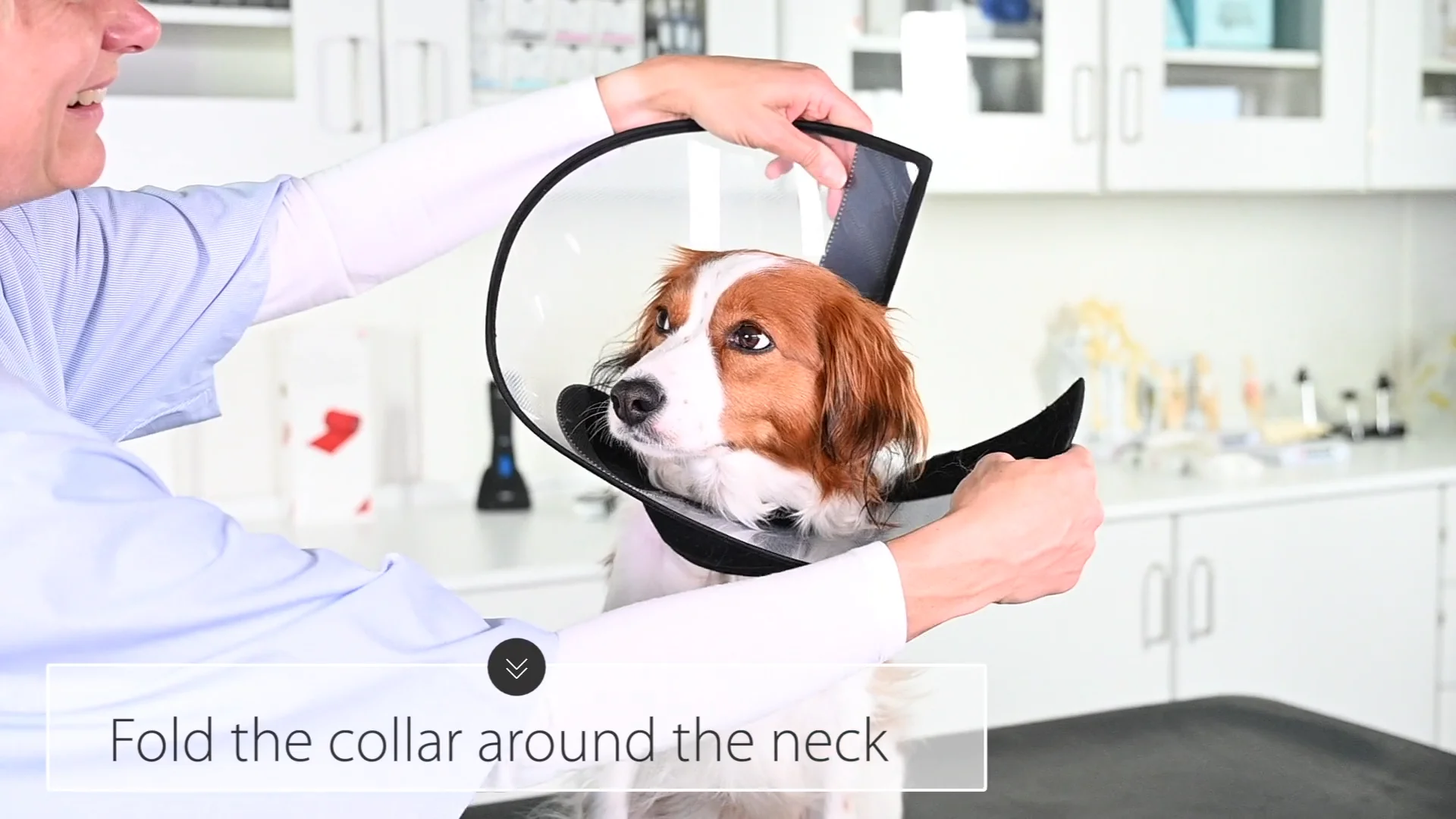 Video to web & download - BUSTER Complete Collar on Vimeo
