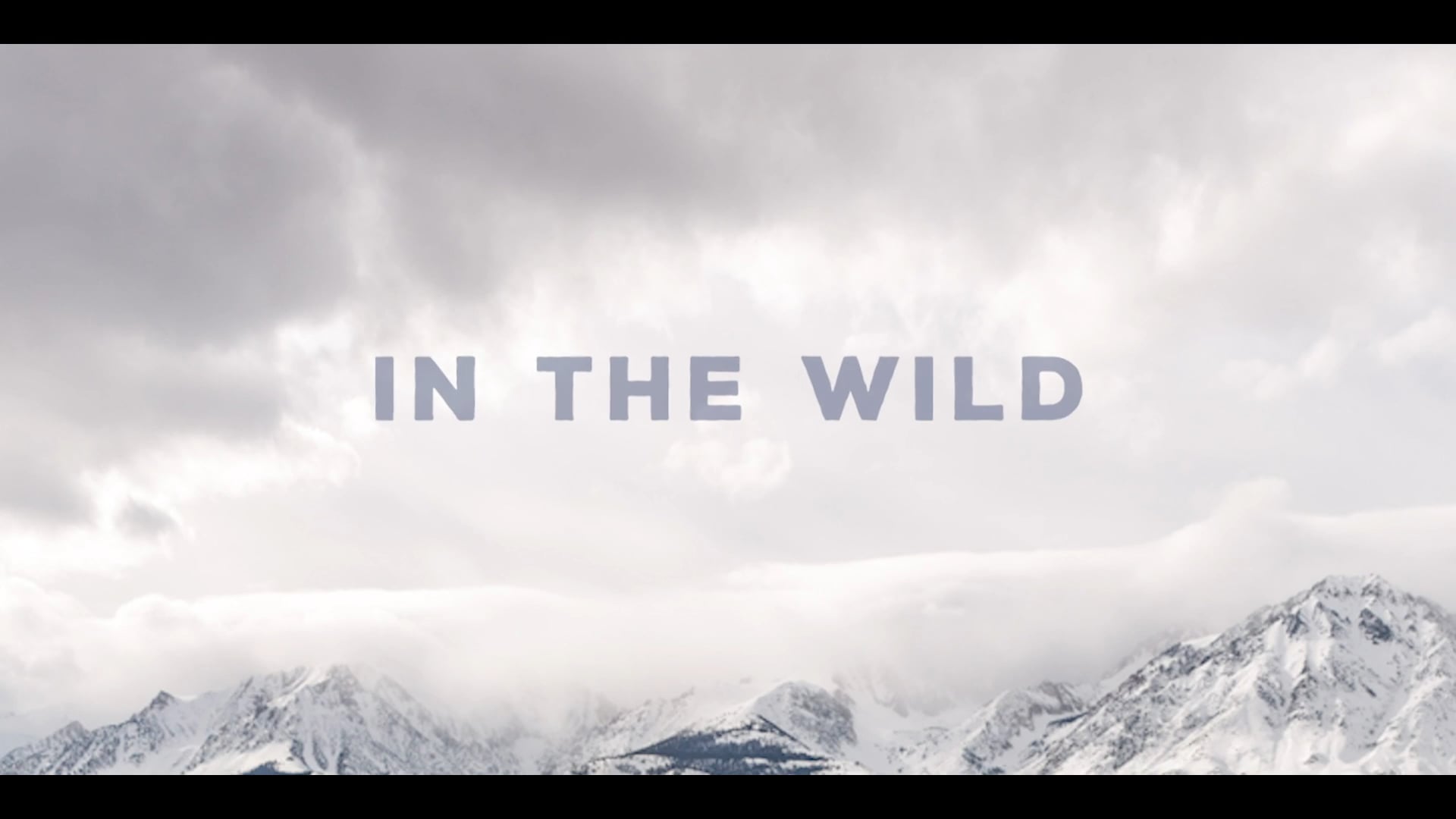 In The Wild - an image essay on Vimeo