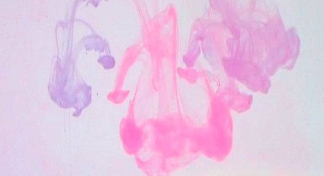 compilation-1b-flower-on-vimeo
