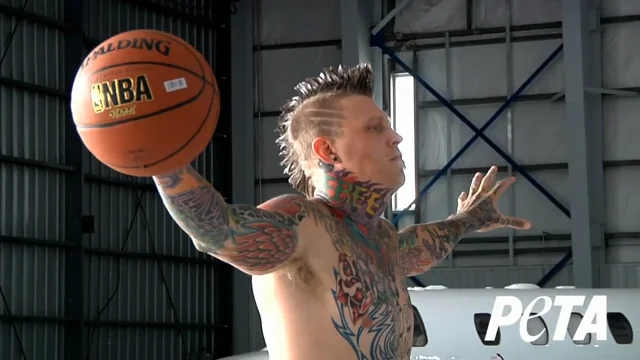Chris Anderson Birdmans Tattoos